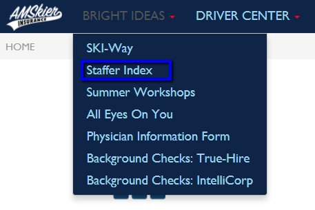 The Staffer Index | Camp Directors - AMSkier Insurance