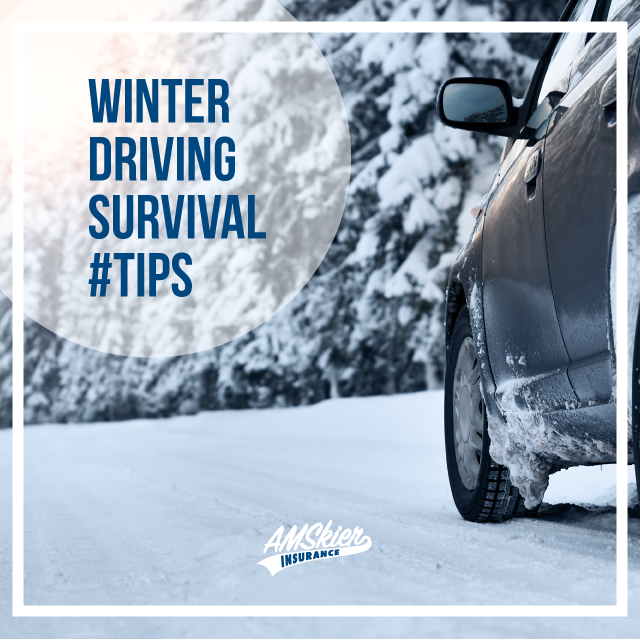 Winter Driving Survival Tips - AMSkier Insurance Agency
